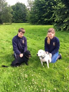 Old Clayton Kennels and Cattery - Boarding Kennel in Steyning, West Sussex