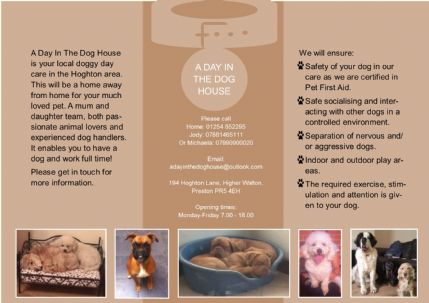 A Day In The Dog House - Home Boarding in Preston, Lancashire