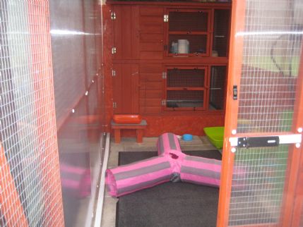 Spindlehay Lodge Rabbit Boarding - Small Pet Boarding in Fareham, Hampshire