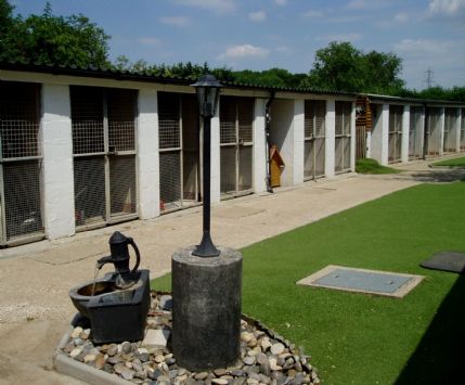 Lodge Kennels - Boarding Kennel in Baldock, Hertfordshire