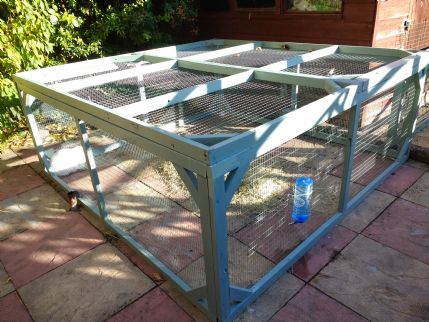 Rabbit and guinea pig boarding and bonding Norwich - Small Pet Boarding ...