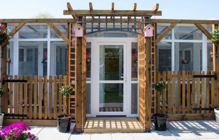 Longcroft Luxury Cat Hotel Flitwick - Boarding Cattery in Luton ...