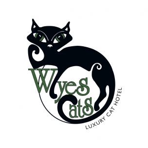 Wyes Cats Luxury Cat Hotel - Boarding Cattery in Chepstow, Monmouthshire