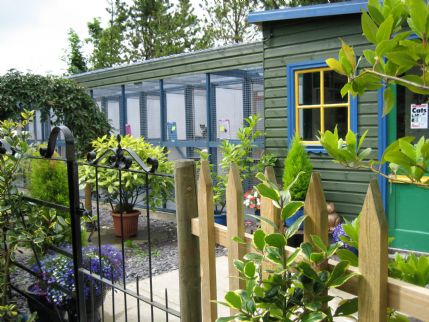 Cozy Cattery - Boarding Cattery in Caernarfon, Gwynedd