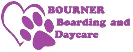 Bourner Boarding - Home Boarding in Portsmouth, Hampshire