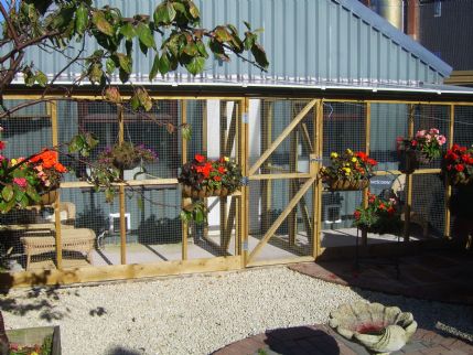 Pawfection Luxury Cattery - Boarding Cattery in Carlisle, Cumbria